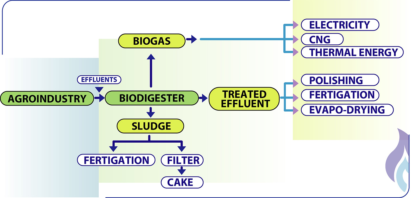 PRODUCTOS - BIO TEC